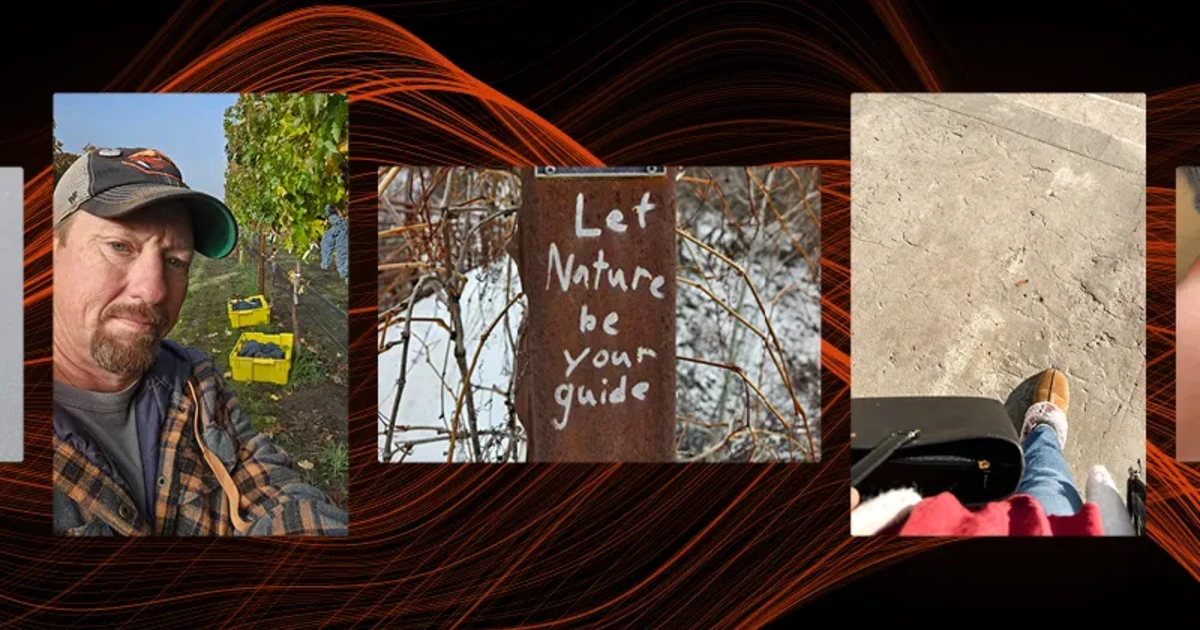 Oregon State research brings online learning into focus through student ...